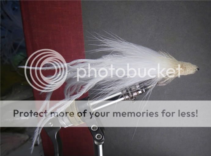 Lou Taboury Snake fly (white)striper pattern - Fly Tying - Maine Fly Fish